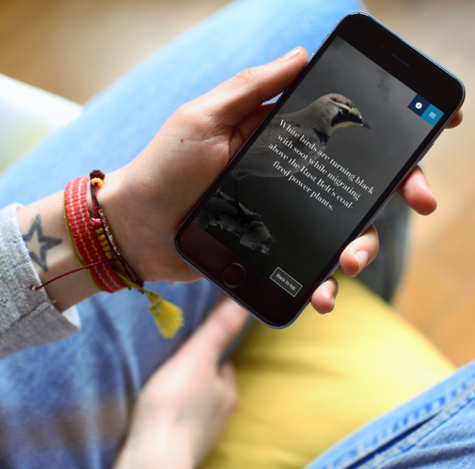 Careers at Forum One | Forum One