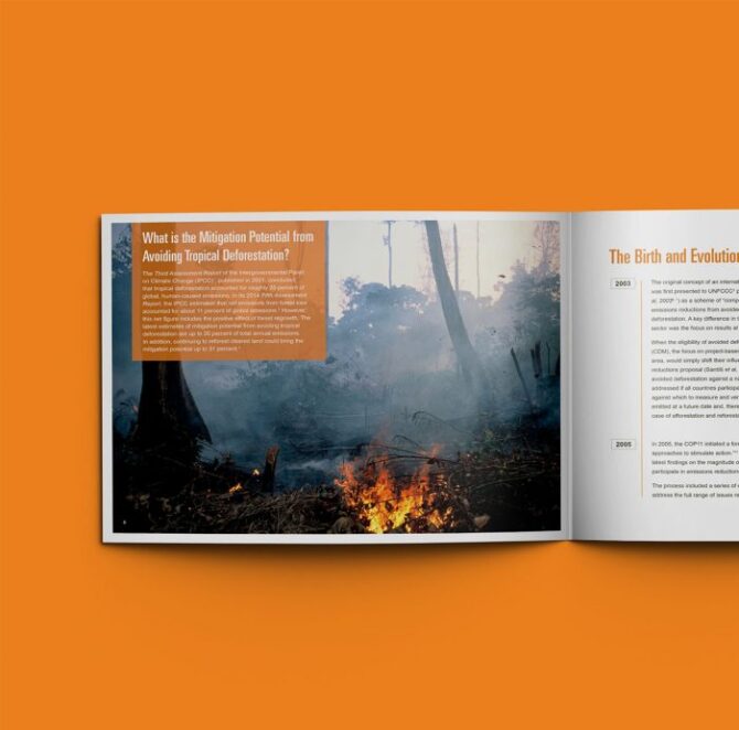 Reducing Emissions from Deforestation and Degradation | Forum One